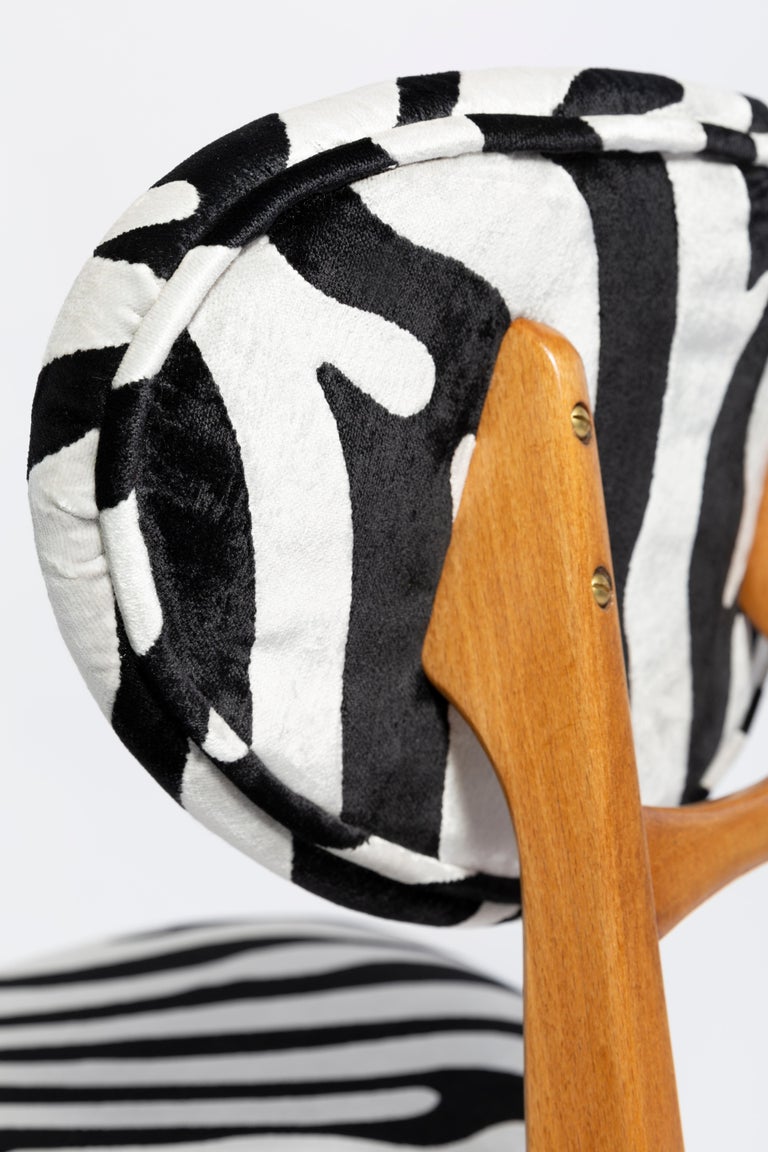 Set of Six Mid-Century Zebra Chairs, Type 200/128 by J. Kedziorek ...