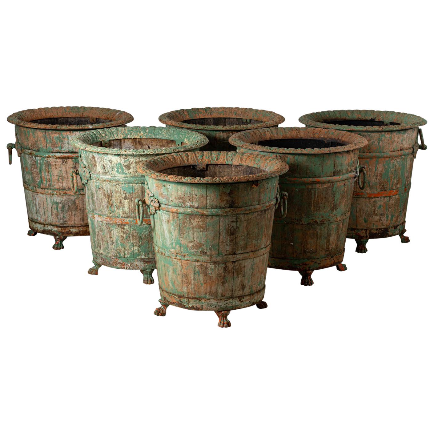 Set of Six Orange Tree Planters, France, Late 19th Century at 1stDibs