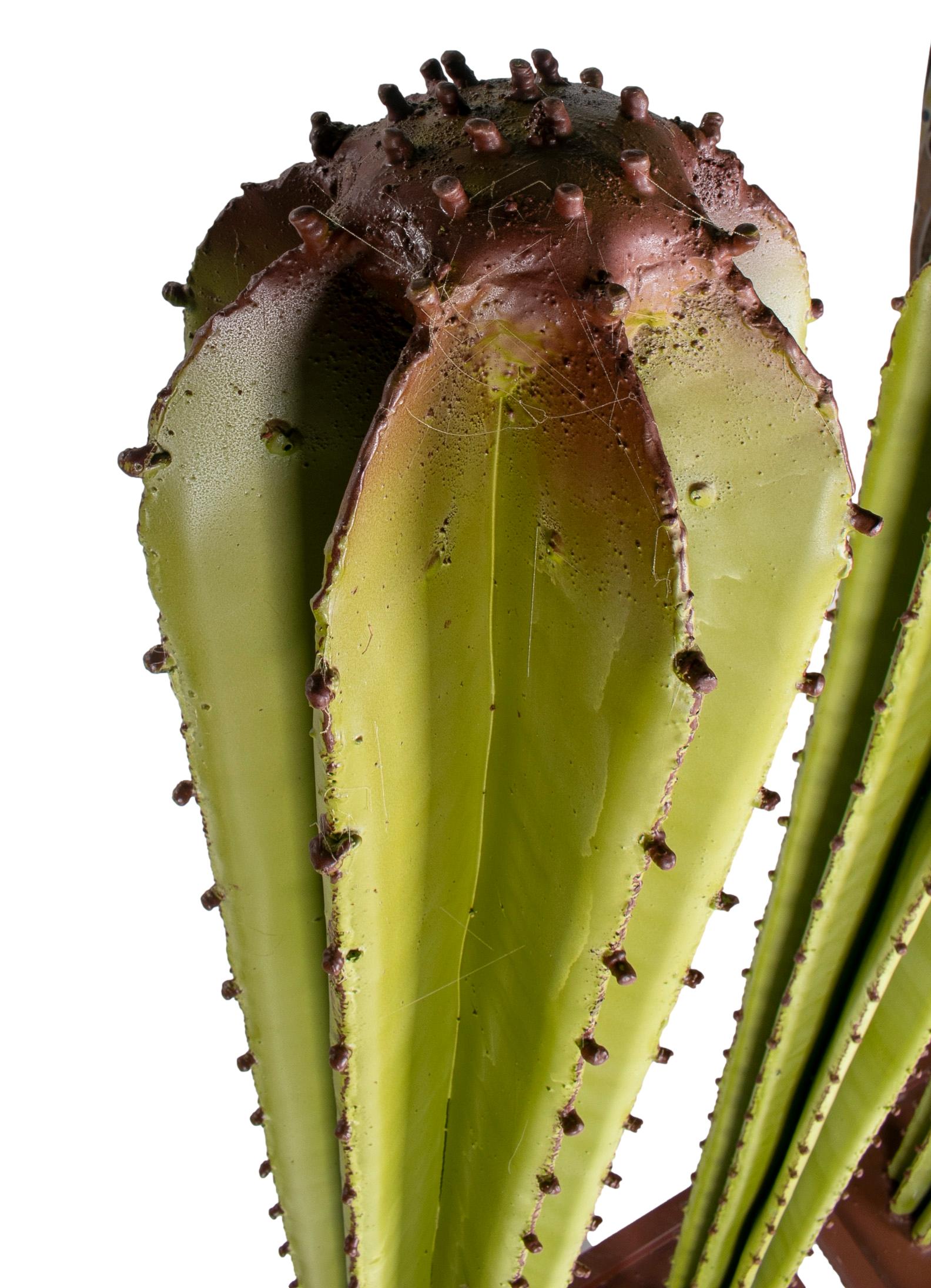 Set of Six Spanish Painted Iron Cactus Statues For Sale at 1stDibs