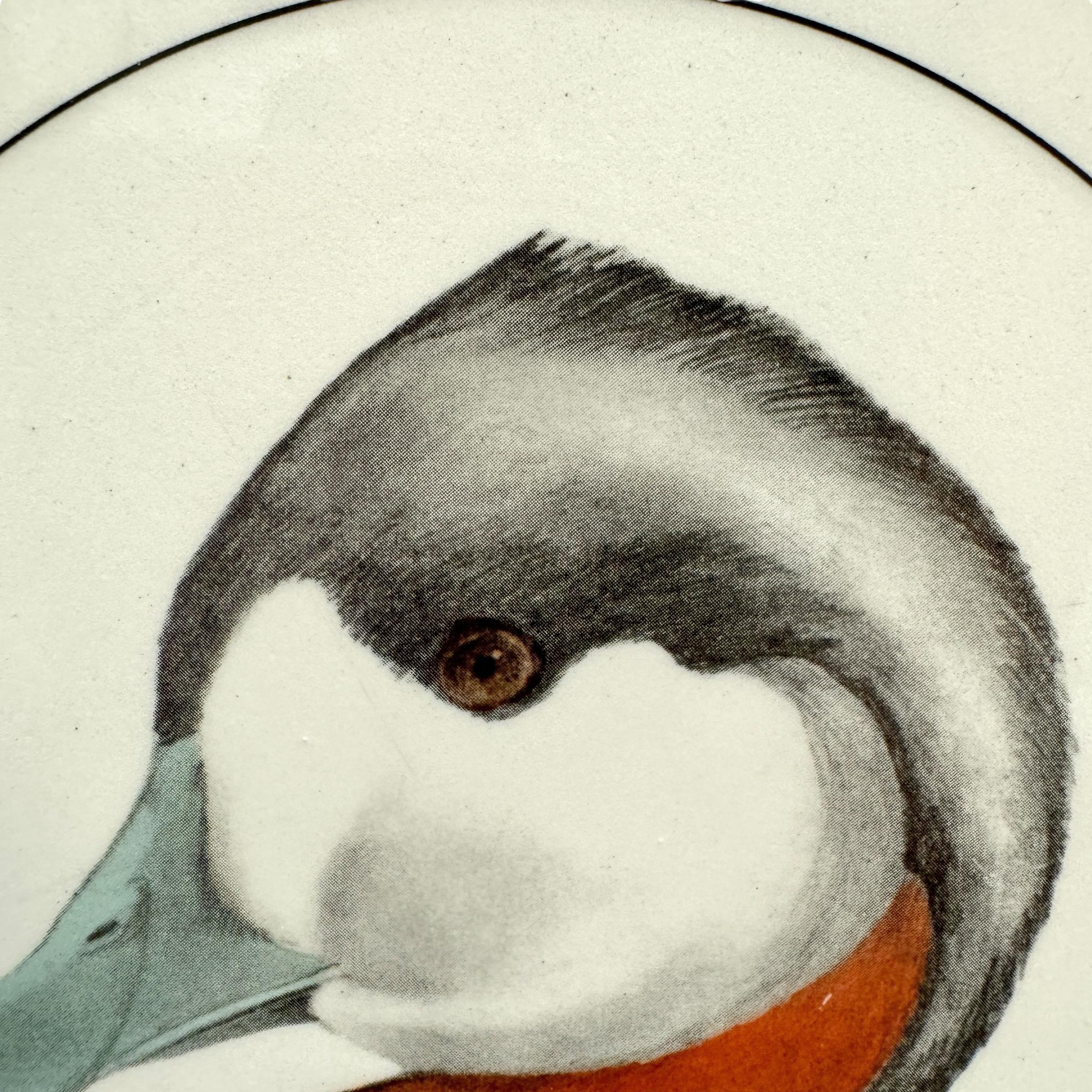 Set of Six Vintage American Duck Plates at 1stDibs