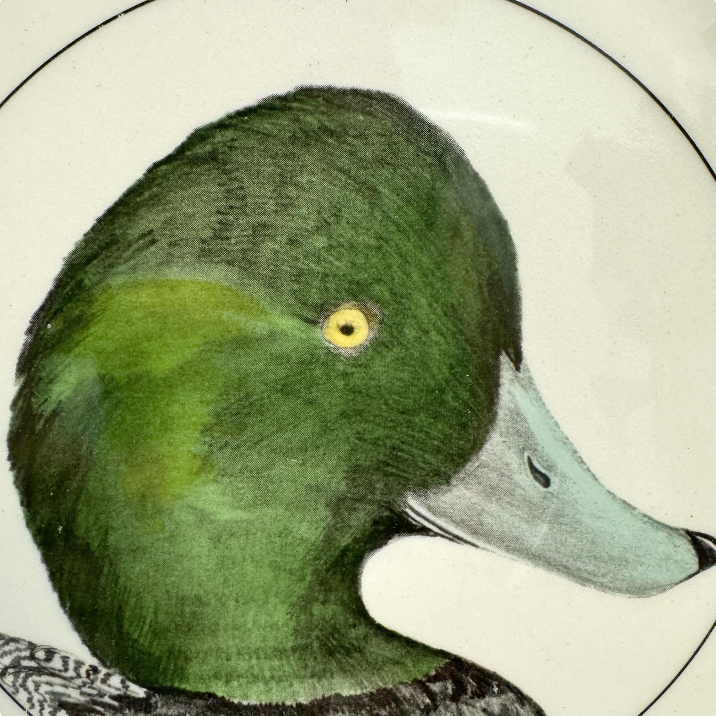 Set of Six Vintage American Duck Plates at 1stDibs