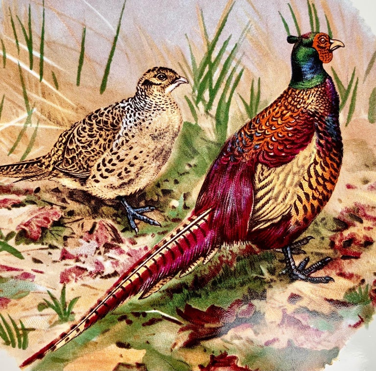 Set of Six Vintage French Pheasant Plates, Longchamp Factory, France ...