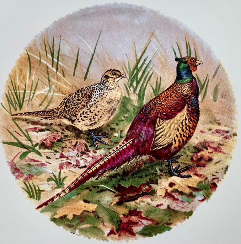 Set of Six Vintage French Pheasant Plates, Longchamp Factory, France ...