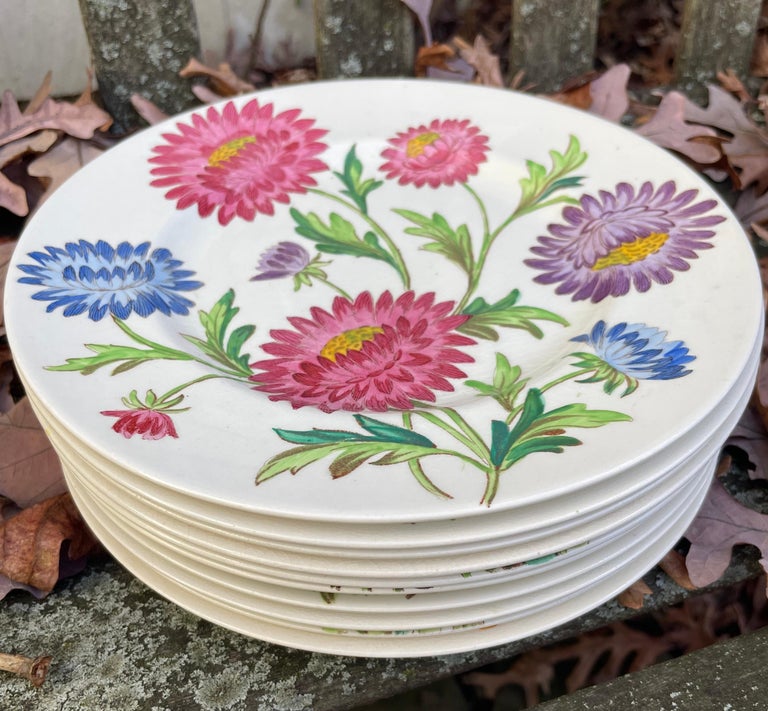Set of Ten English Flower Plates For Sale at 1stDibs