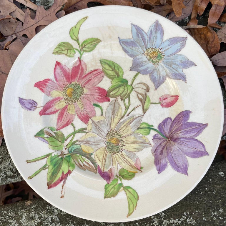 Set of Ten English Flower Plates For Sale at 1stDibs