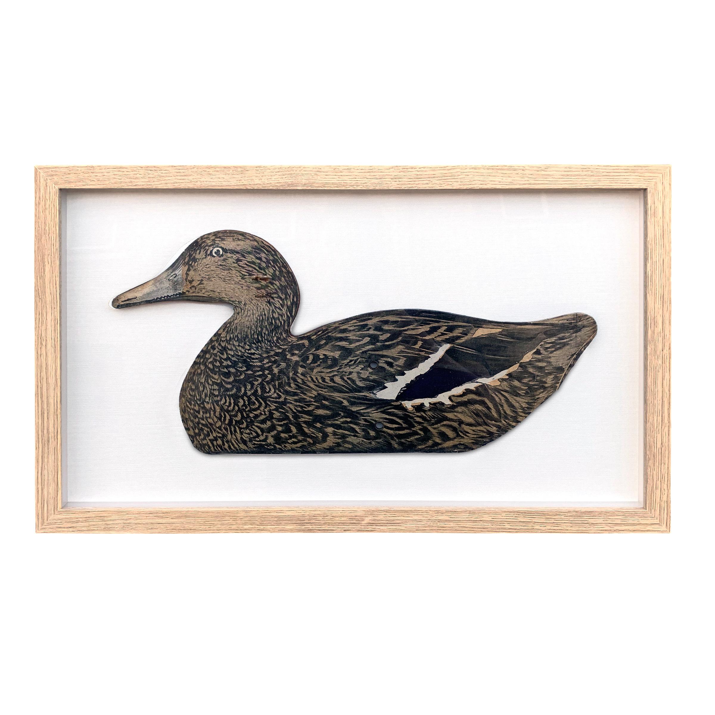 Set of Ten Framed Duck Decoys at 1stDibs