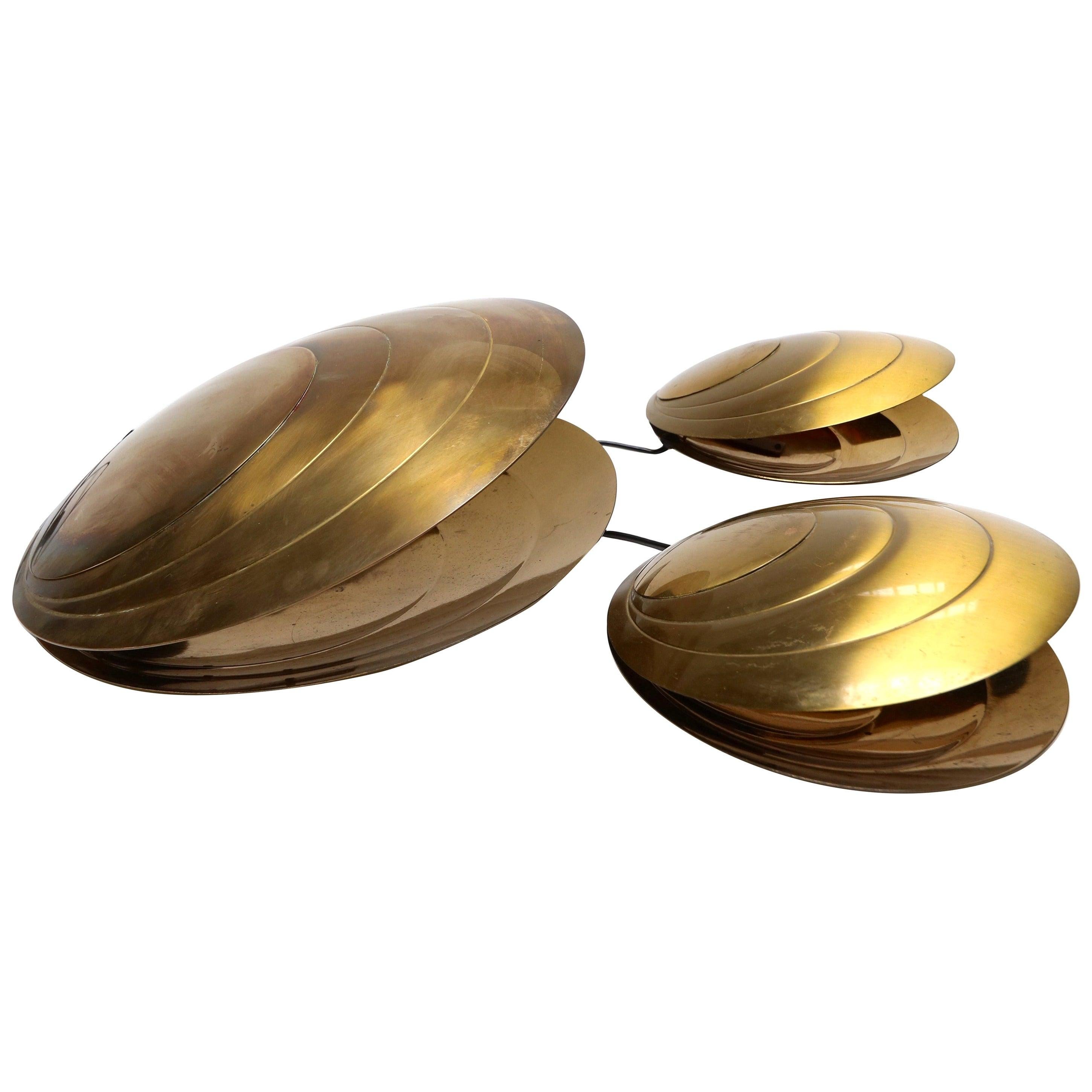 Plaster Clam Shell Lamp at 1stDibs