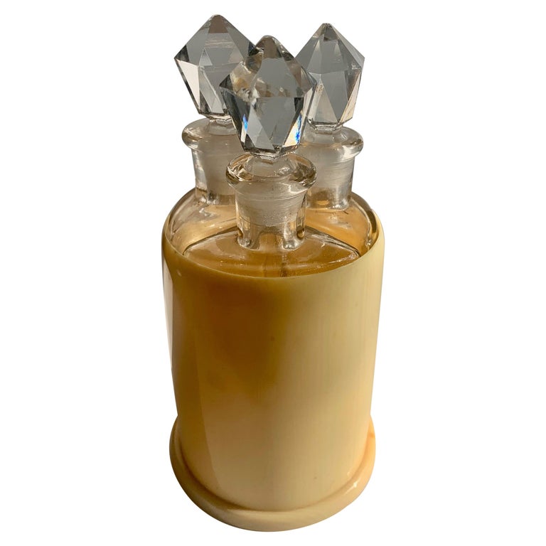 Set of Three Bottles in Holder For Sale at 1stDibs