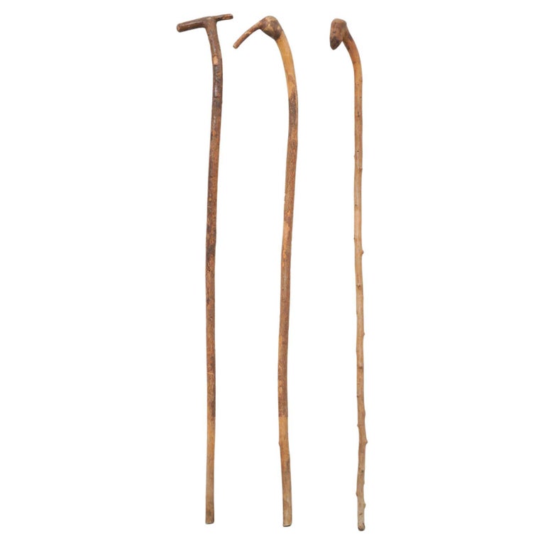 Set of Three Early 20th Century Hand Carved Wood Walking Traditional ...