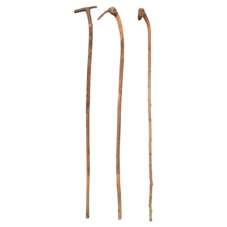 Set of Three Early 20th Century Hand Carved Wood Walking Traditional ...