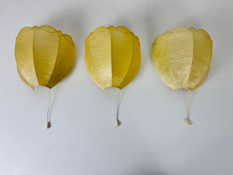 Set of three Flower Shape Cocoon Wall Lamps by Friedel Wauer, 1960s ...