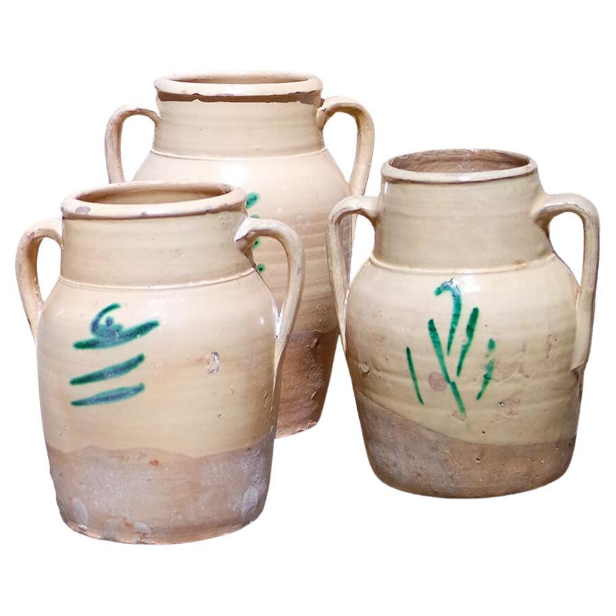 Set of Three Italian Tree of Life Pots Mid-1800s For Sale at 1stDibs