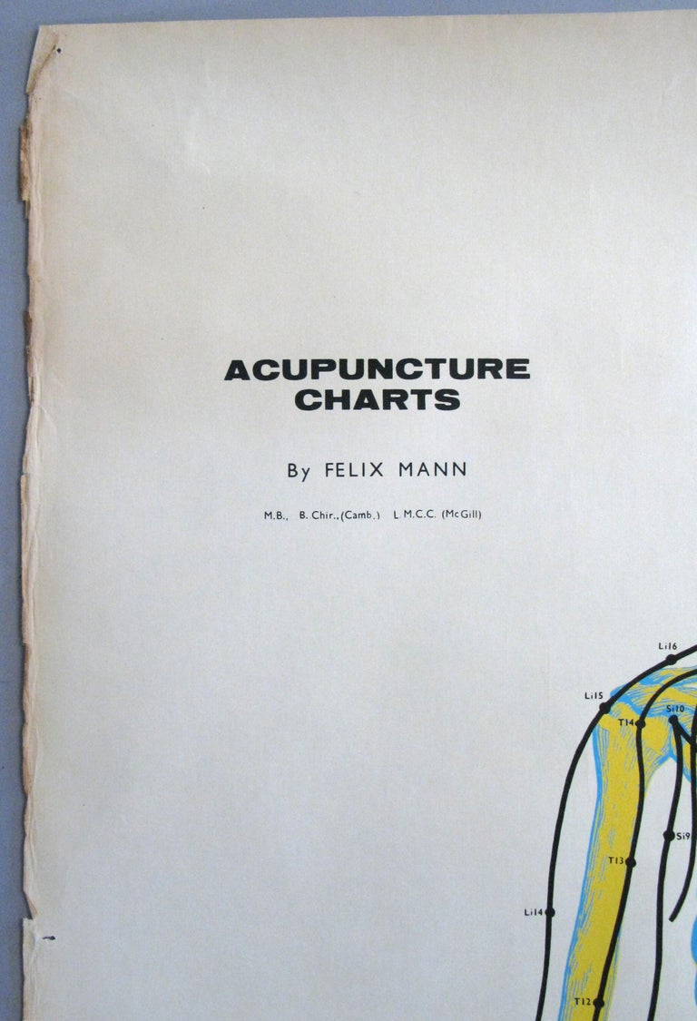 Set of Three Vintage Acupuncture Serigraphs on Linen by Felix Mann For ...