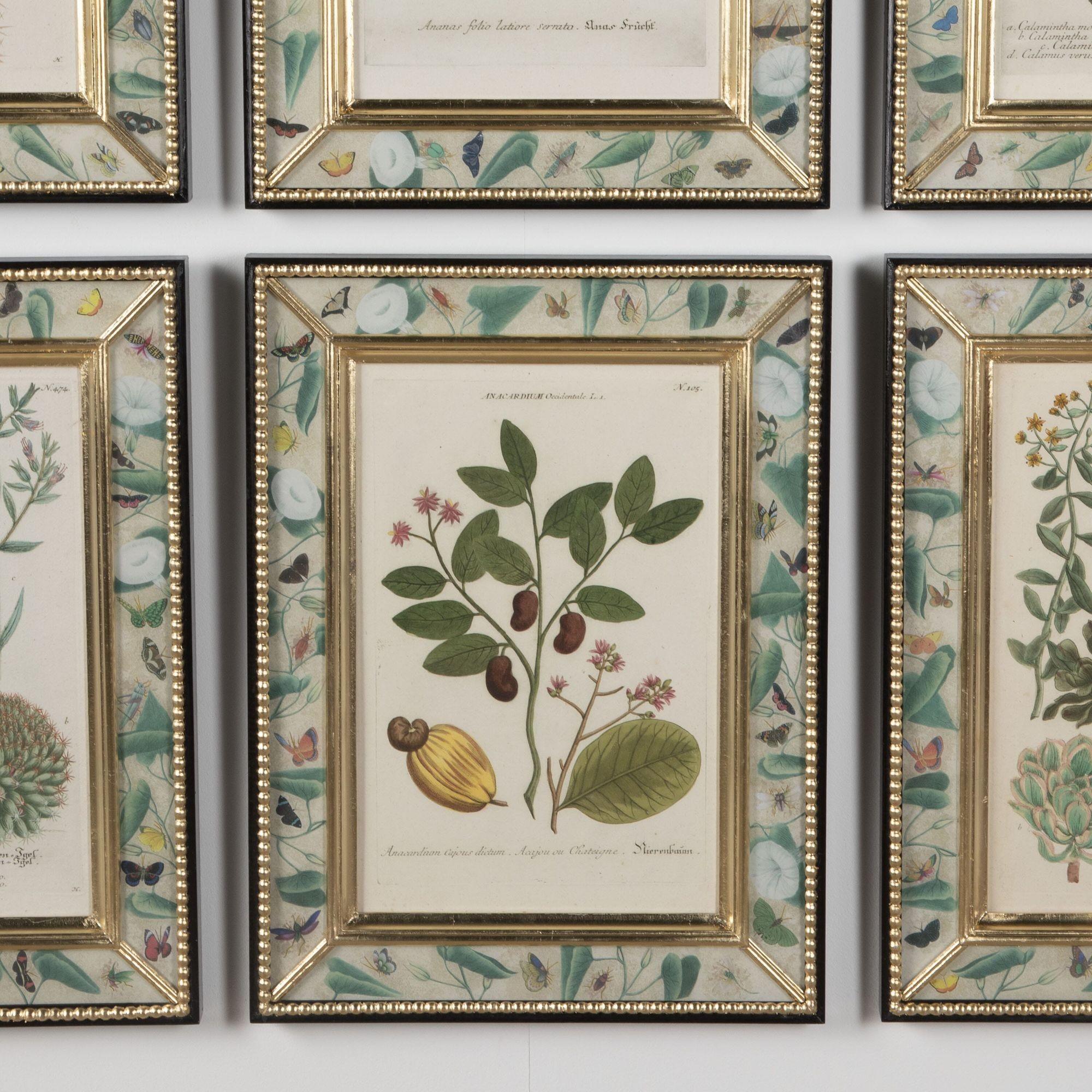 Set of Twelve 18th Century Botanical Engravings at 1stDibs
