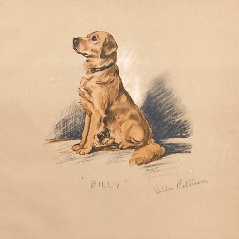 Set of Twelve 1930s Framed Lucy Dawson Dog Prints at 1stDibs