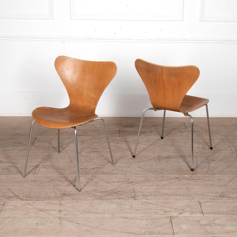 Set of Twelve Arne Jacobsen Chairs by Fritz Hansen For Sale at 1stDibs