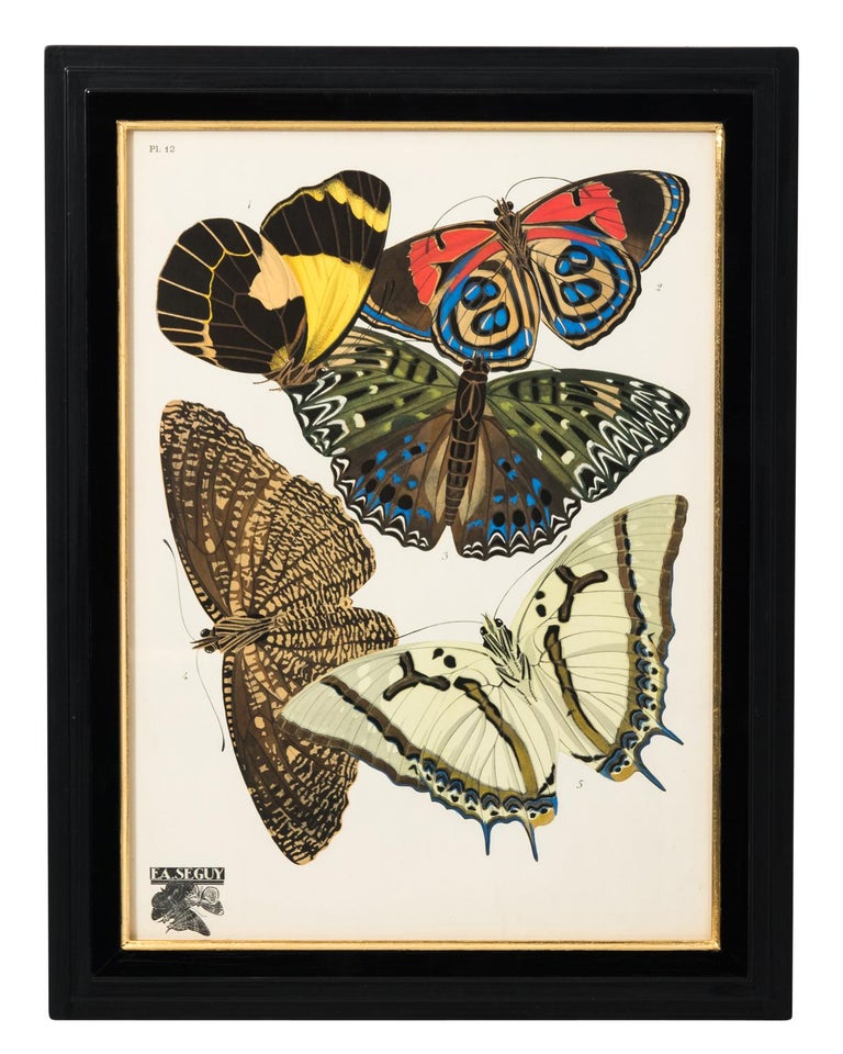 Set of 10 Butterfly And Insect Prints by E.A. Seguy For Sale at 1stDibs