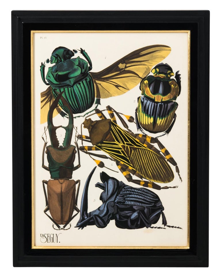 Set of 10 Butterfly And Insect Prints by E.A. Seguy For Sale at 1stDibs