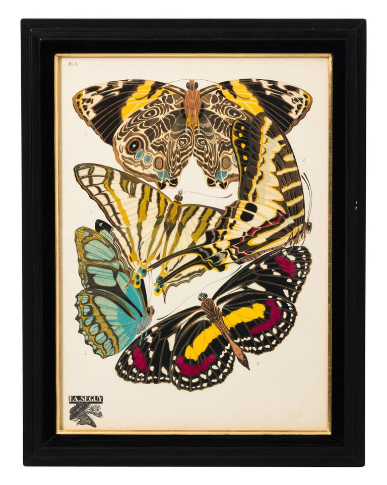 Set of 10 Butterfly And Insect Prints by E.A. Seguy For Sale at 1stDibs