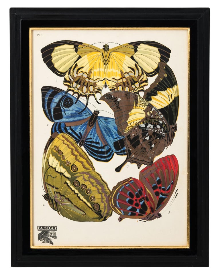 Set of 10 Butterfly And Insect Prints by E.A. Seguy For Sale at 1stDibs