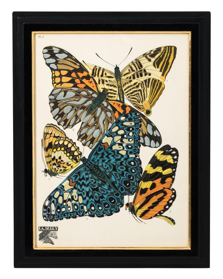 Set of 10 Butterfly And Insect Prints by E.A. Seguy For Sale at 1stDibs
