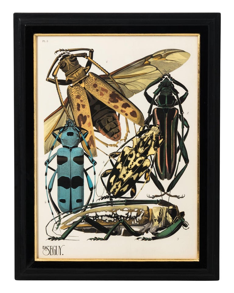 Set of 10 Butterfly And Insect Prints by E.A. Seguy For Sale at 1stDibs