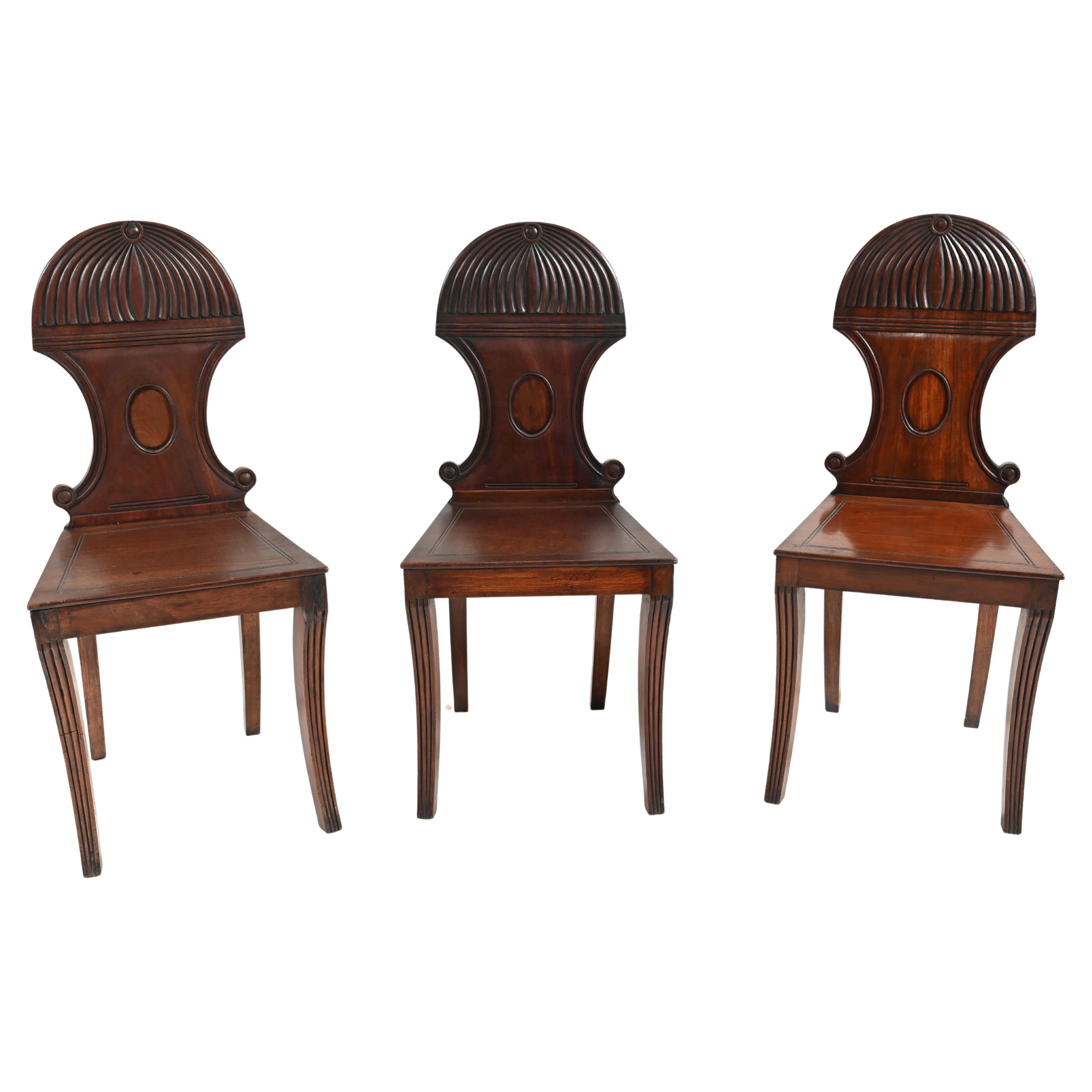 Set Regency Hall Chairs Mahogany Antique 1810 Sabre Leg at 1stDibs