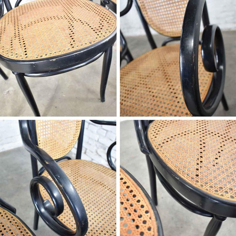 Set Six #17 Thonet Style Black and Natural Tall Bentwood Chairs by ...