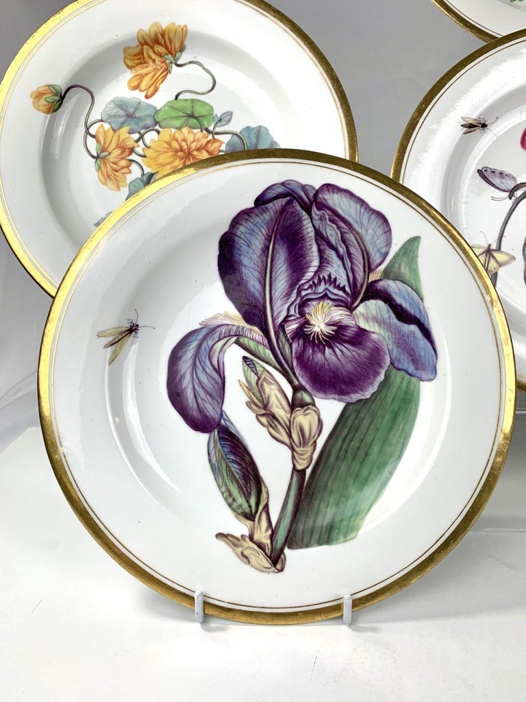 Seven Antique Porcelain Botanical Cabinet Plates Made by Minton Circa ...