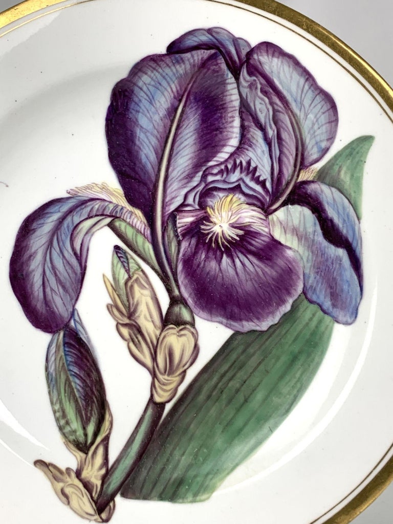 Seven Antique Porcelain Botanical Cabinet Plates Made by Minton Circa ...