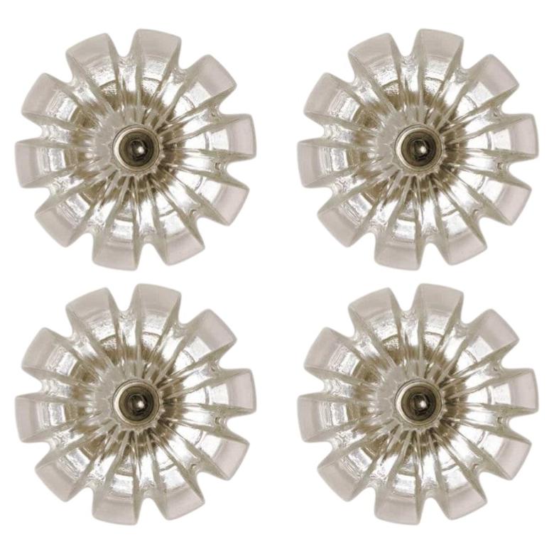 Several Peill and Putzler Clear Glass Wall lights Flush Mounts, 1970 ...