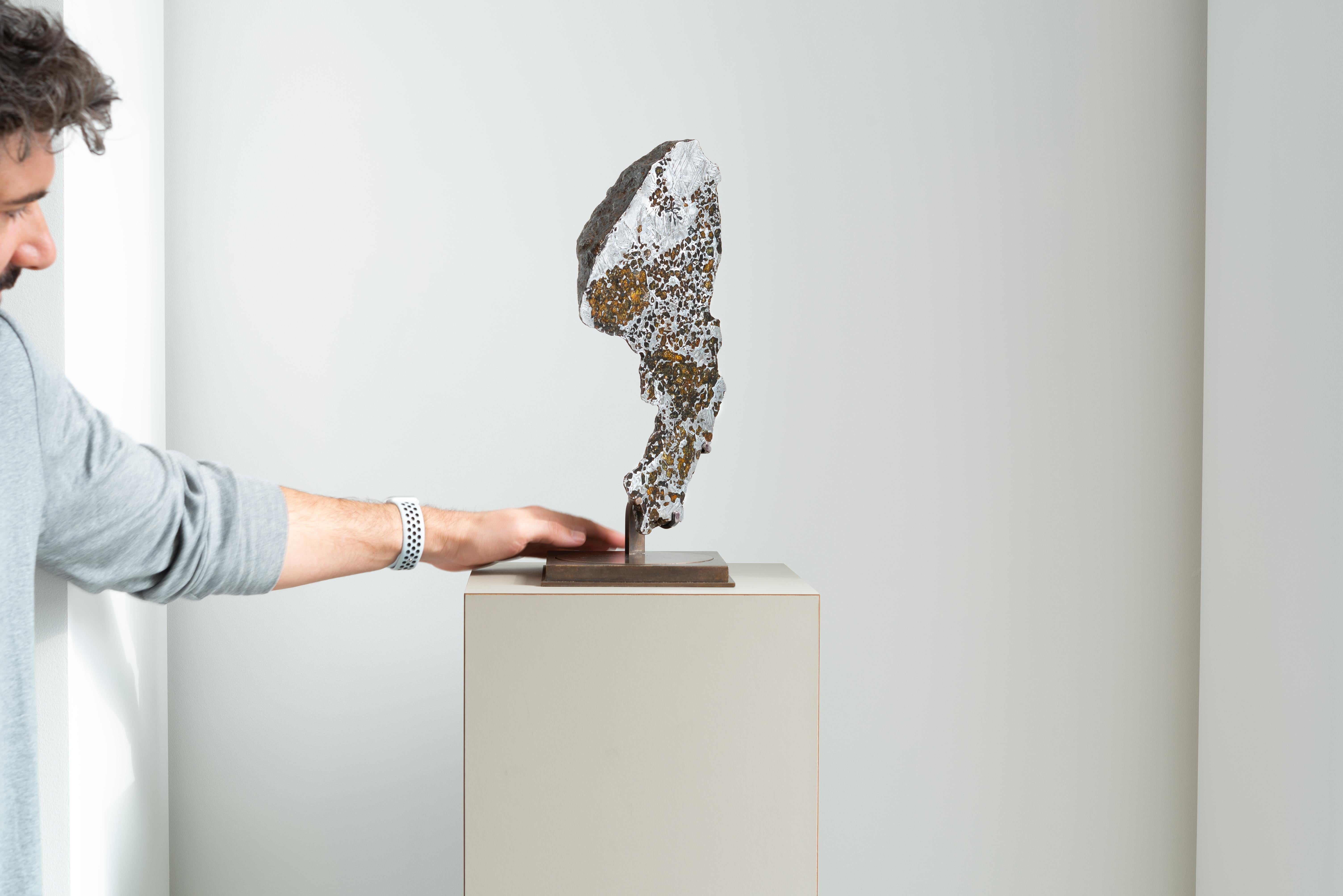 Seymchan Meteorite End-Cut For Sale at 1stDibs