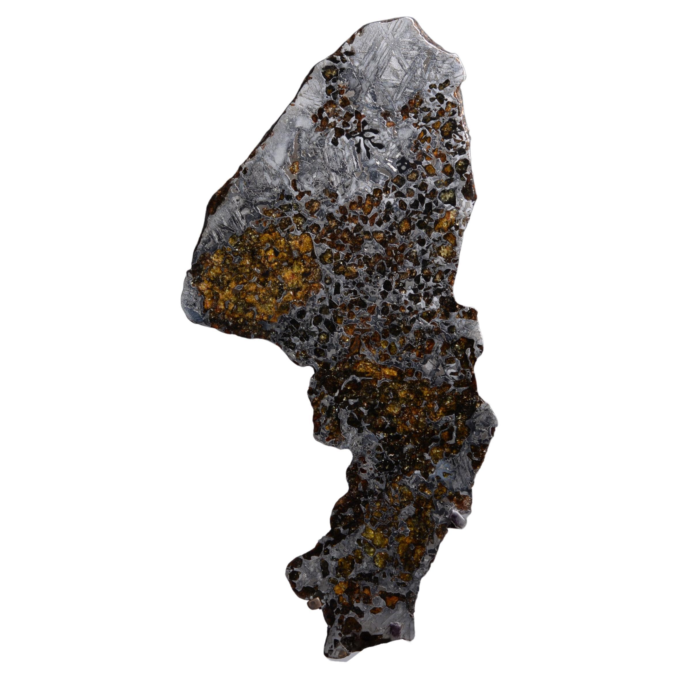Seymchan Meteorite End-Cut For Sale at 1stDibs
