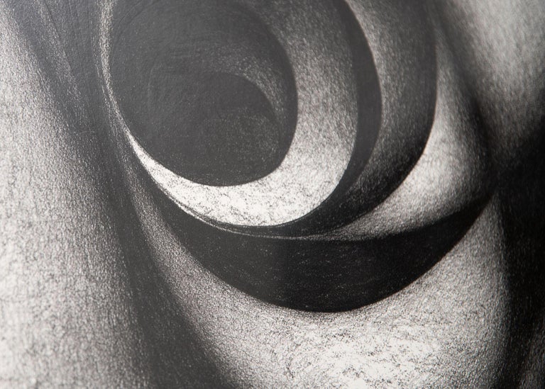 Seymour Fogel 'Woodland Eros' Abstract Drawings Texas Modernism 1971 ...