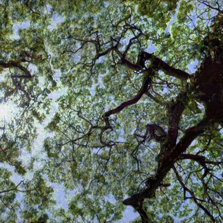 Shahram Karimi and Shoja Azari - Dreamscape VI For Sale at 1stDibs