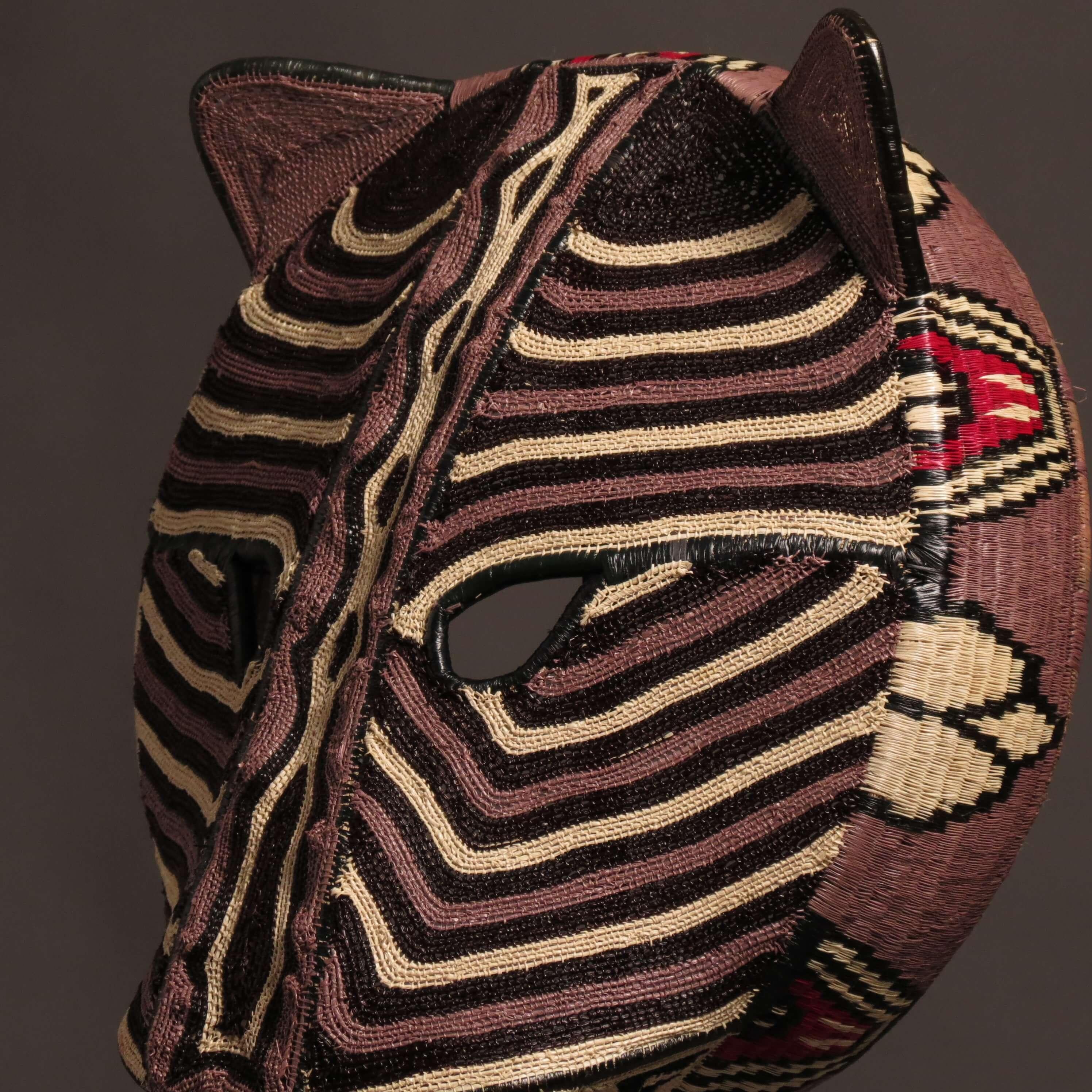 Shamanic Mask from the Rainforest For Sale at 1stDibs