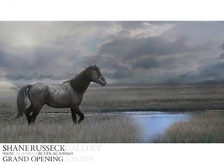 Shane Russeck - Wild Horse / Mustang Show Photography Gallery Exhibition Poster - NEW For Sale ...