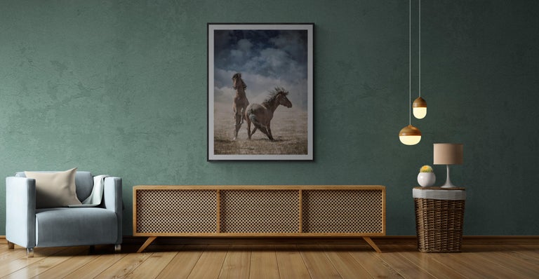 Shane Russeck - Wonder Horses 40x 60 - Wild Horses Photograph - Wild Mustangs Photography For ...