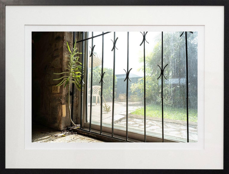 Shani Mootoo - Shelter 1/8 - detailed, documentary, exterior, color ...