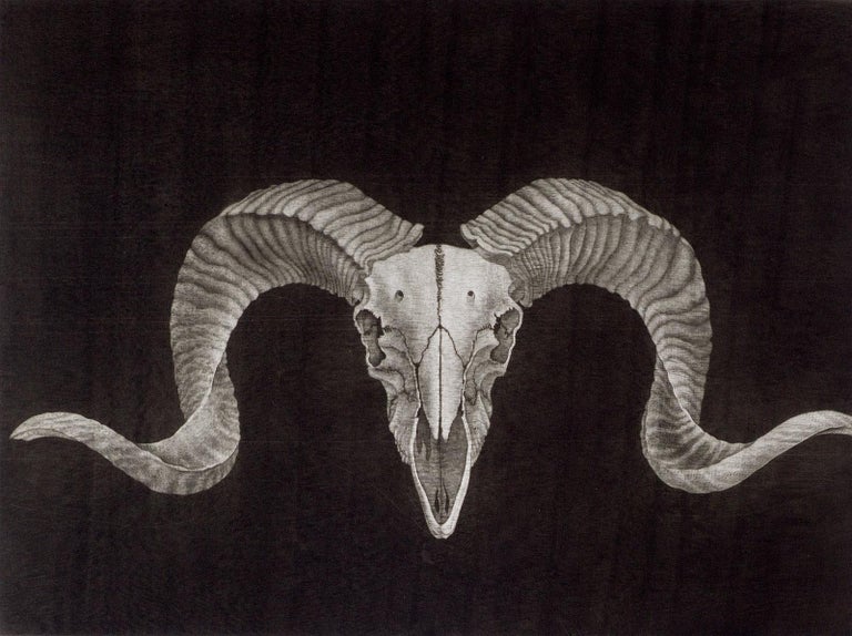Sharon Augusta Mitchell - Ram Skull For Sale at 1stDibs
