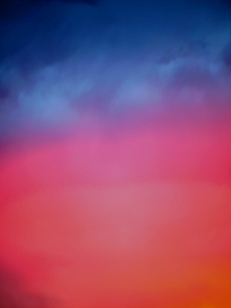 Sharon F. D'Amico - Sharon F. D'Amico, Dusk #25 For Sale at 1stDibs