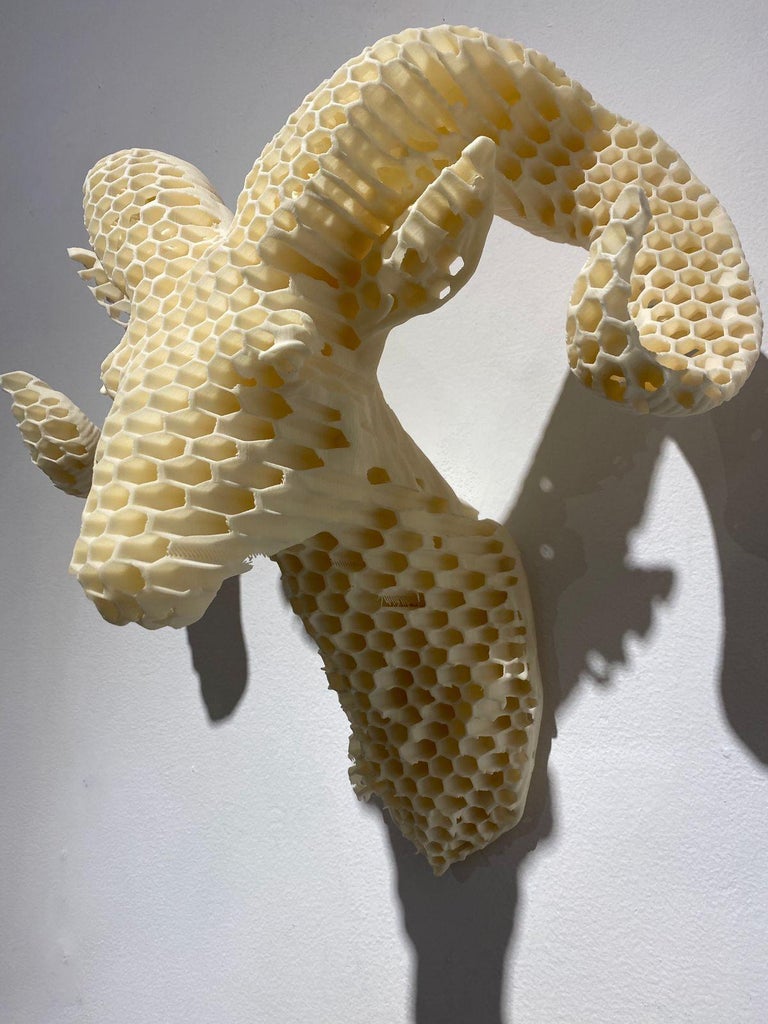 Shawn Smith - Nest For Sale at 1stDibs