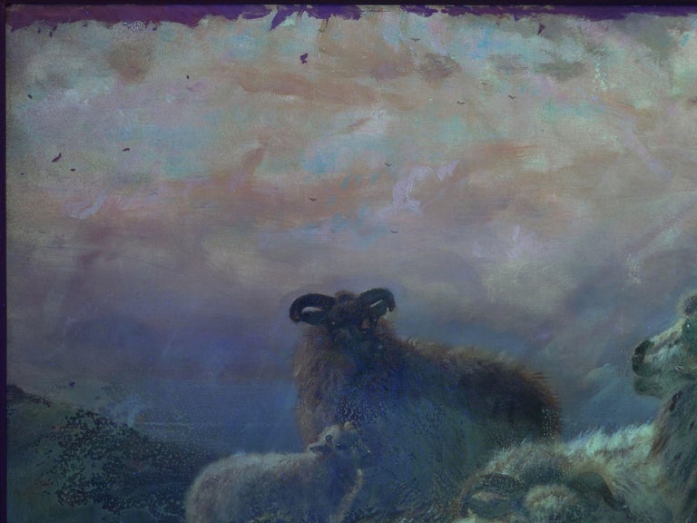 “Sheep at Rest in the Highlands” '1914' Antique Oil Painting by Robert ...