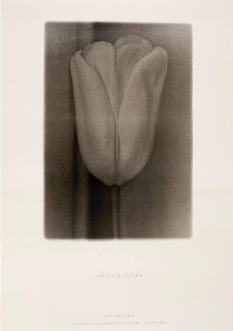 Sheila Metzner - Sheila Metzner Show Poster from Daniel Wolf Inc For ...