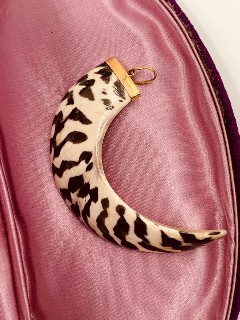 Shell Claw Motif Pendant 18 Karat Gold from Estate of Writer Jackie ...