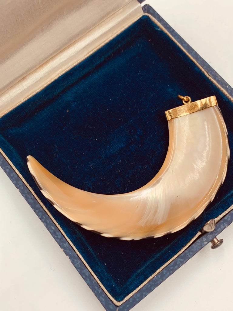Shell Claw Motif Pendant 18 Karat Gold from Estate of Writer Jackie ...
