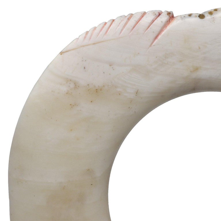 Shell Currency Yua Bride's Price, Papua New Guinea For Sale at 1stDibs