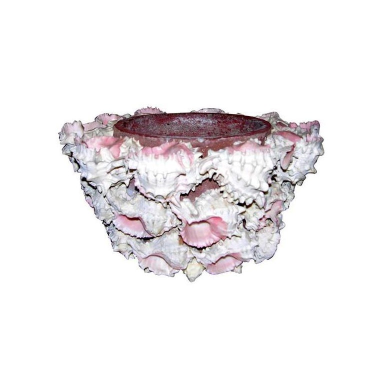 Shell Encrusted Flower Pot at 1stDibs