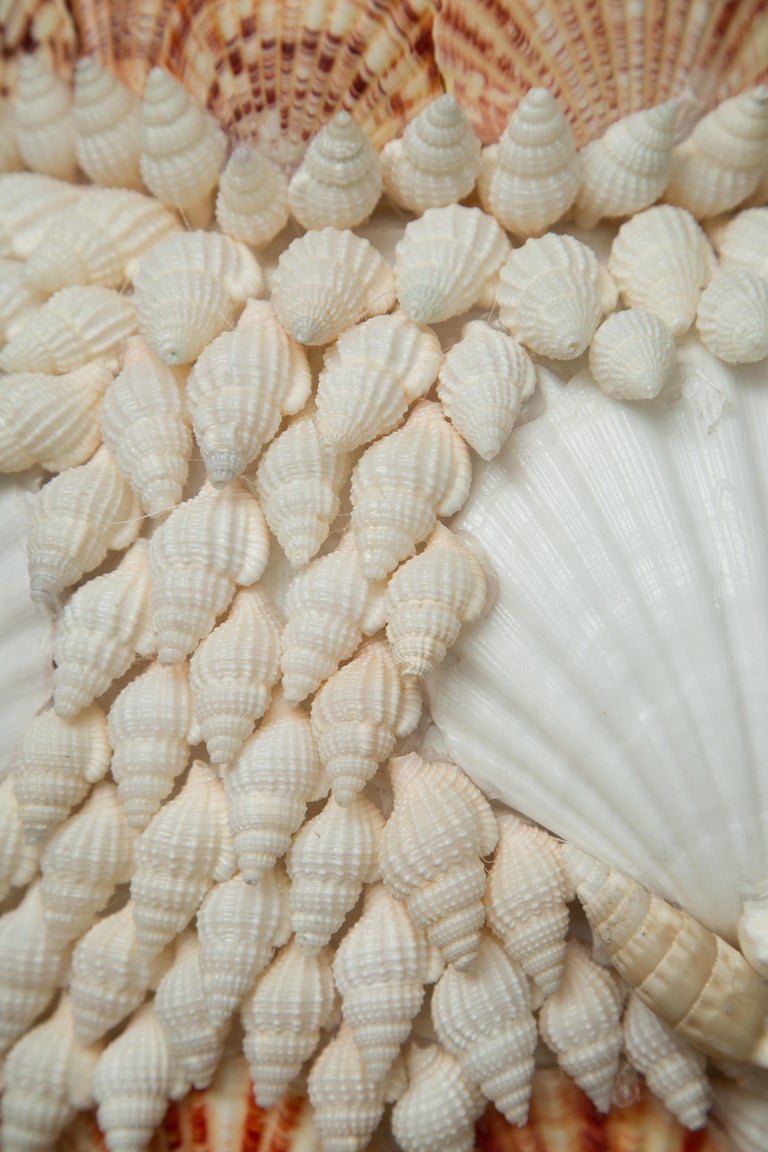 Shell Encrusted Table Lamps at 1stDibs