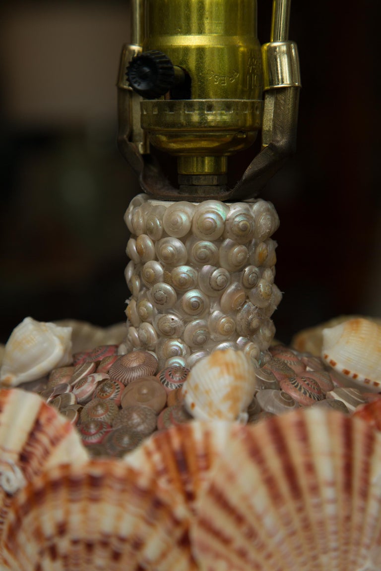 Shell Encrusted Table Lamps at 1stDibs
